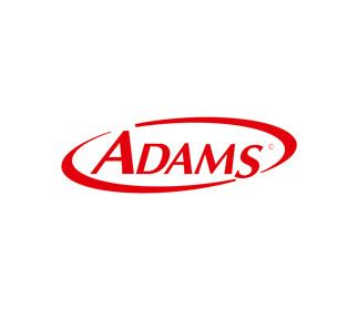 Admas University Logo